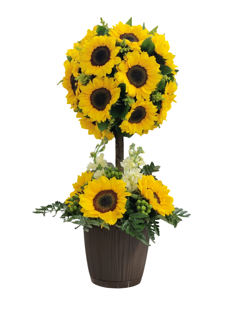 Sol-008 - Jardín Tropical