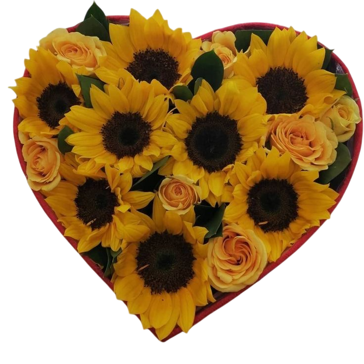 Sol-018 - Jardín Tropical