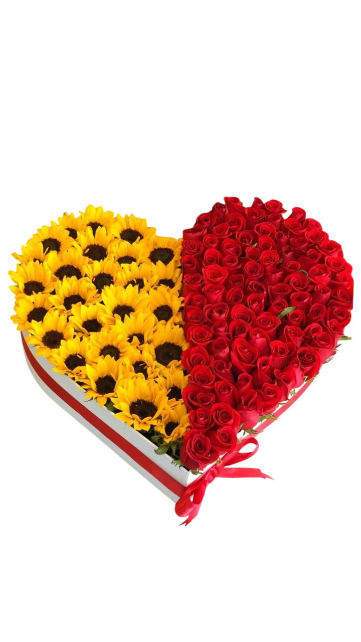 Sol-006 - Jardín Tropical