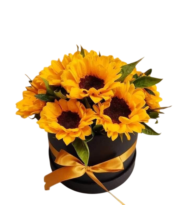 Sol-015 - Jardín Tropical